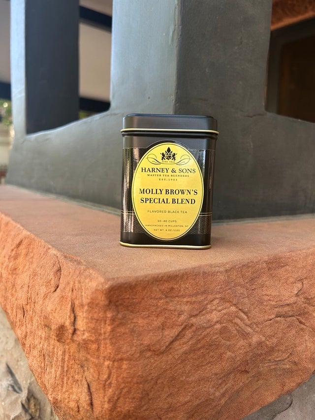 molly brown ghost cat